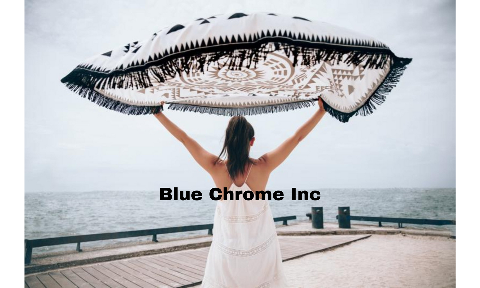 Welcome to Blue Chrome Inc. | Blue Chrome